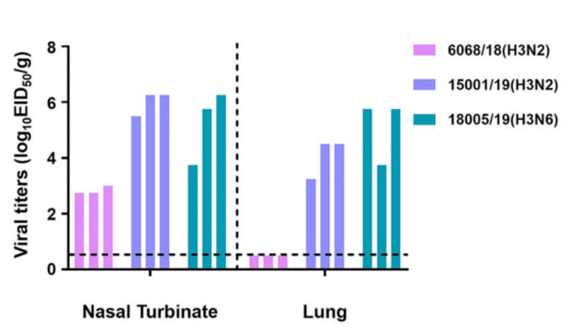 Influenza: The Master of Rapid Evolution – GZMED